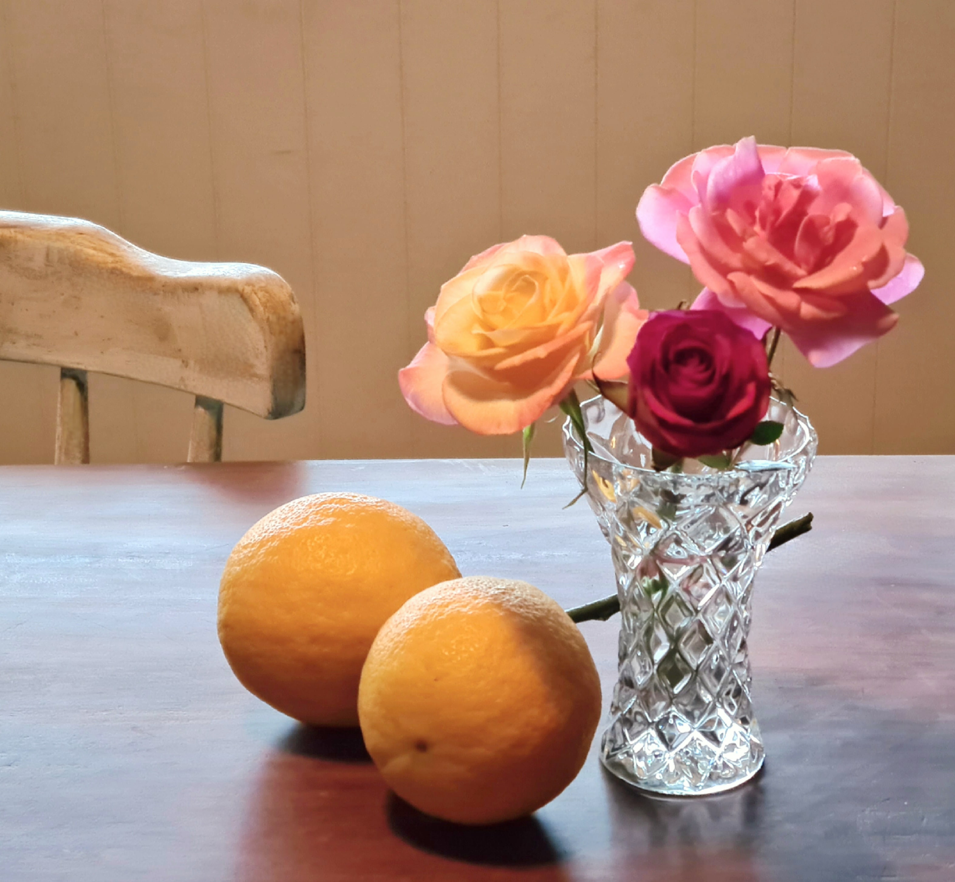 On the kitchen table today… rose e limoni | Zoë Boccabella